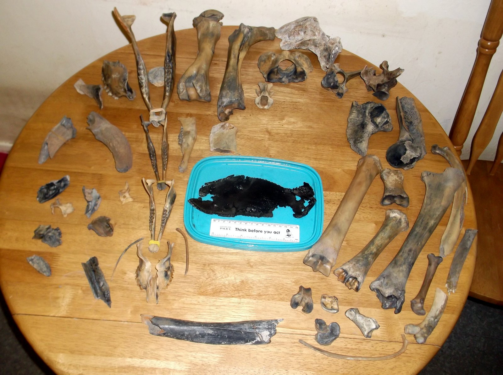 HISTORY OF A BECK: Ancient bones and preserved shoe sole excavated from ...