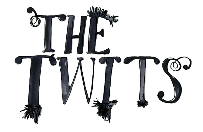 David's All Stars: Book review: The Twits
