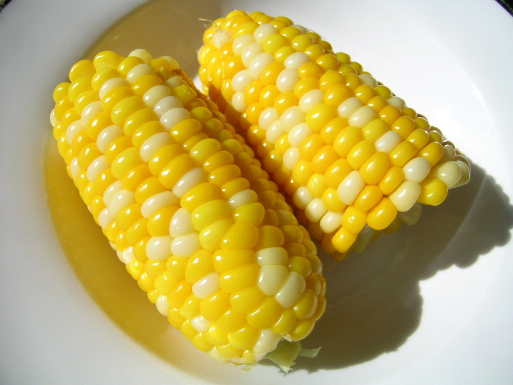 Mi Cocina Salvadoreña: Elotes Sancochado