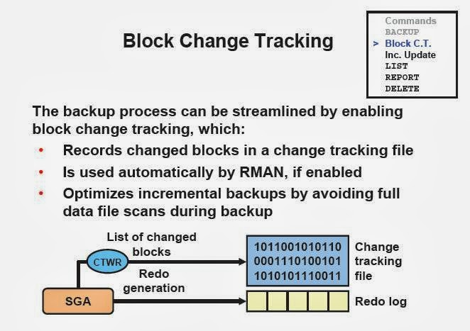 Default Blame Acceptor: RMAN Block Change Tracking