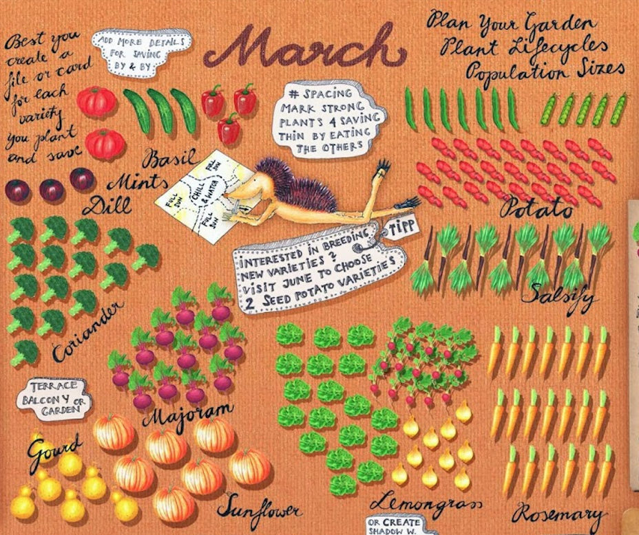Seeds 4 All: March : Plant Life Cycles and Population Sizes