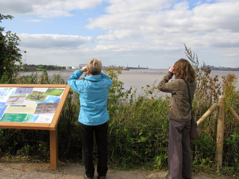 Wirral Wildlife Blog: Port Sunlight River Park