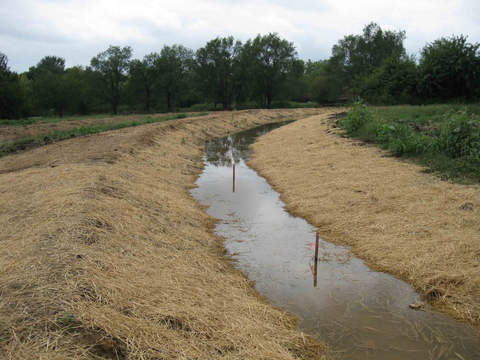 Temperate Climate Permaculture: Permaculture Projects: Swales