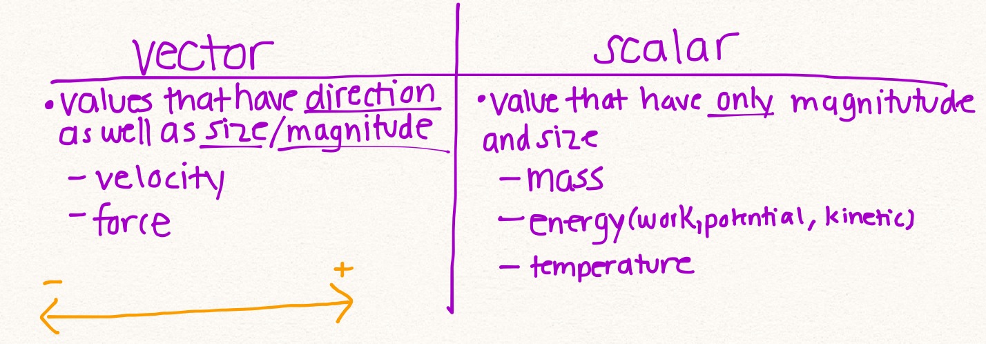 SarahJensenPhysics: Collisions Lab