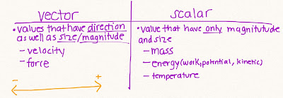 SarahJensenPhysics: Collisions Lab