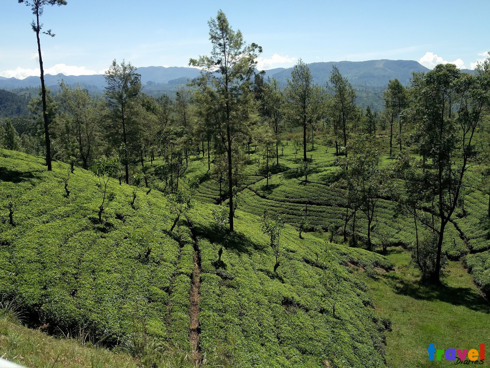 Travelworld: 5 must see places in Sri Lanka