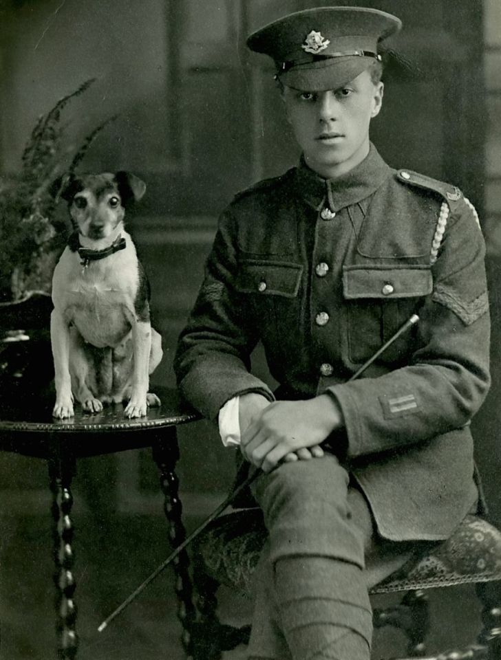 What Kind Of Dogs Were Used In World War 1