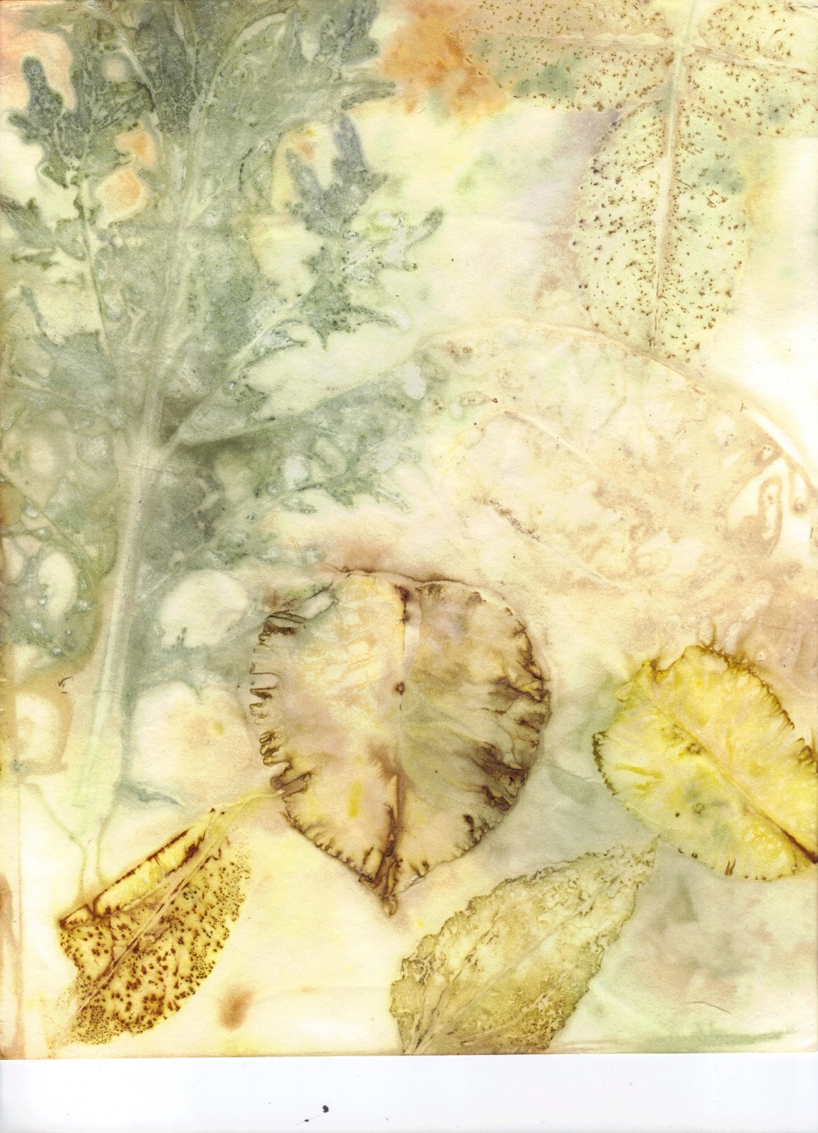 8 that create: Nature's Colors