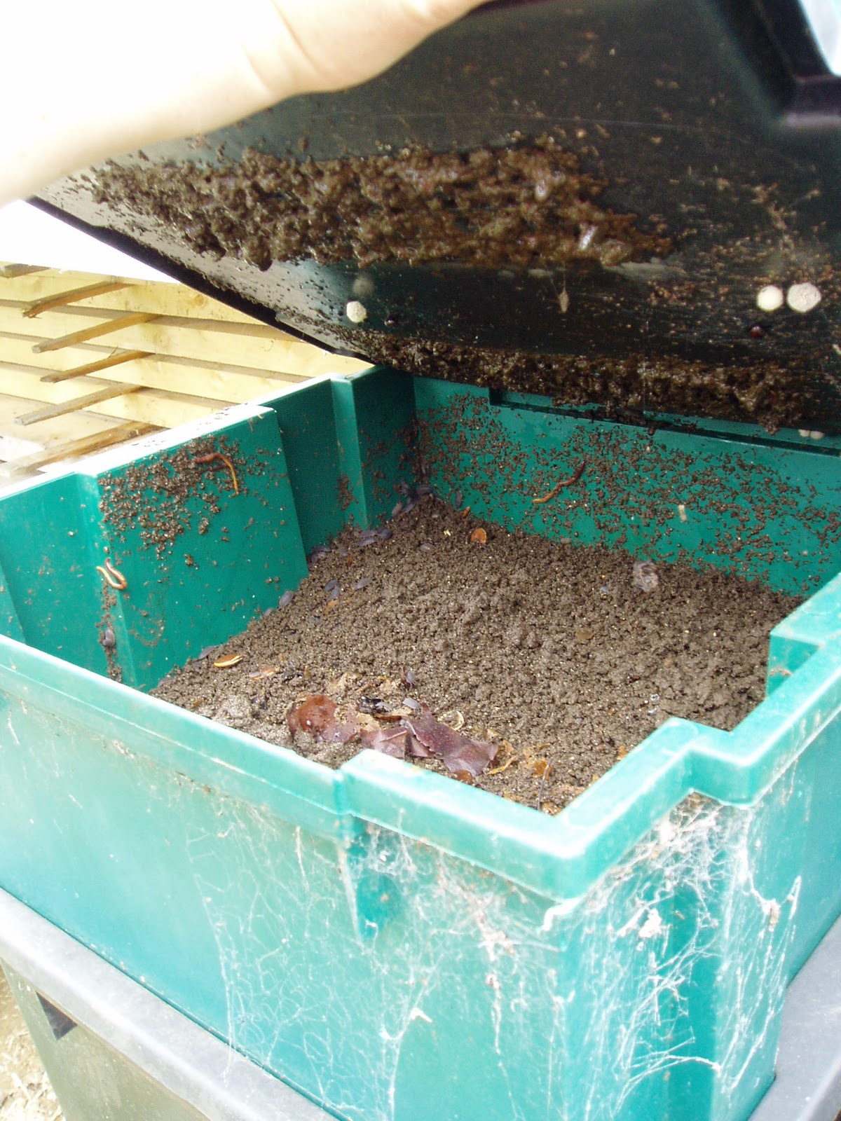 Charlotte Scott - Textile Artist: Worm Mansion