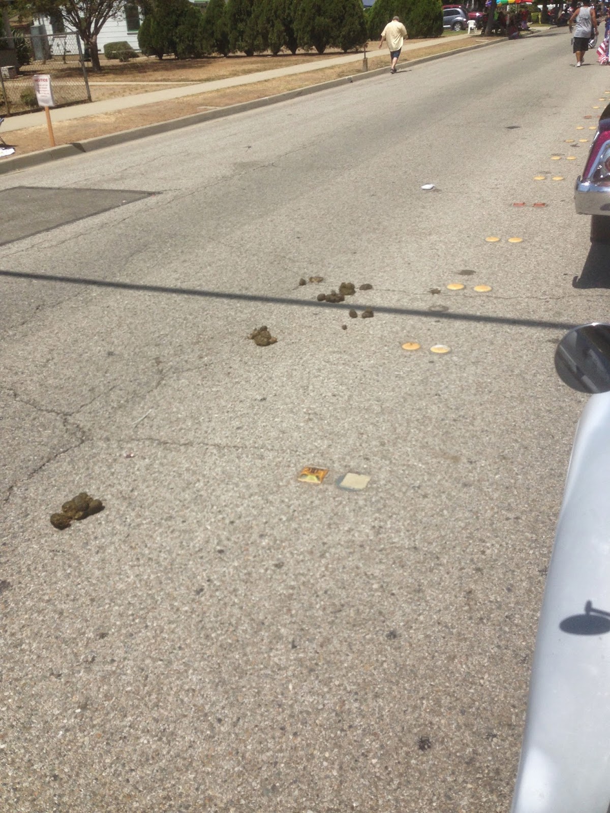 wan life to live: parade, poop, pictures