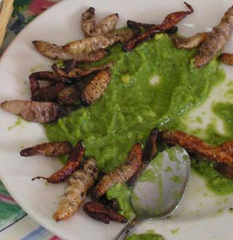 Las 10 comidas más raras del mundo: Las 10 comidas más raras del mundo