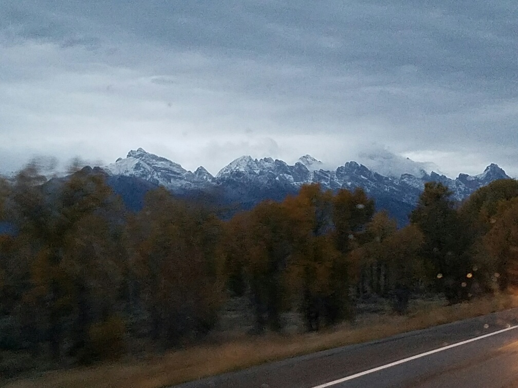 OurSuiteTime: The Changing Landscape