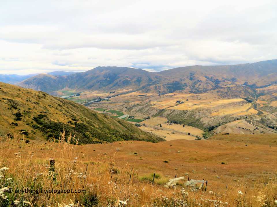 anythinglily: Cardrona Attractions