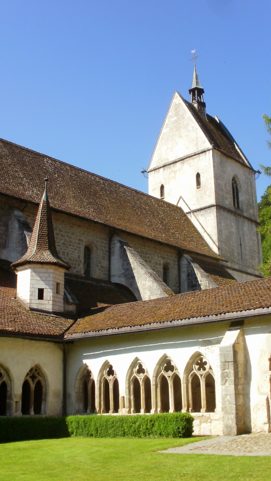 EXCURSII CU BICICLETA: Elvetia