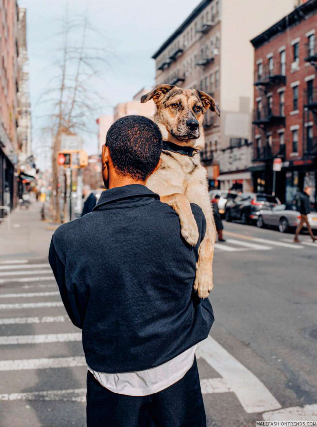 Matthew Seymour para GQ Francia por Maxime La