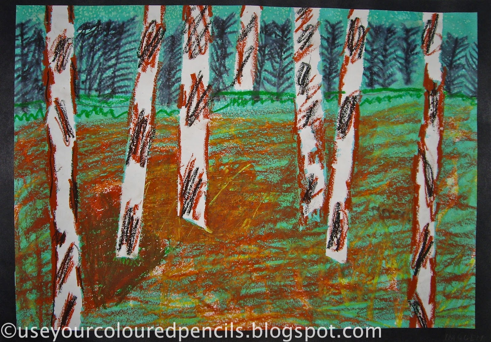 Use Your Coloured Pencils: Karri Forests