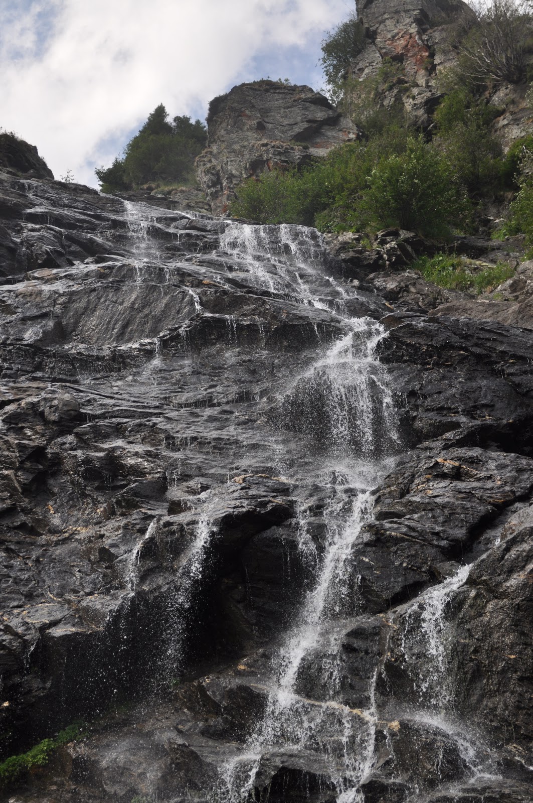 Poze, Natura, Animale, Plante, Romania, Valcea, Ionut Ungureanu
