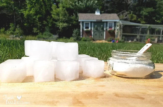 Electrolyte Ice Cubes for your Chickens - Fresh Eggs Daily® with Lisa ...