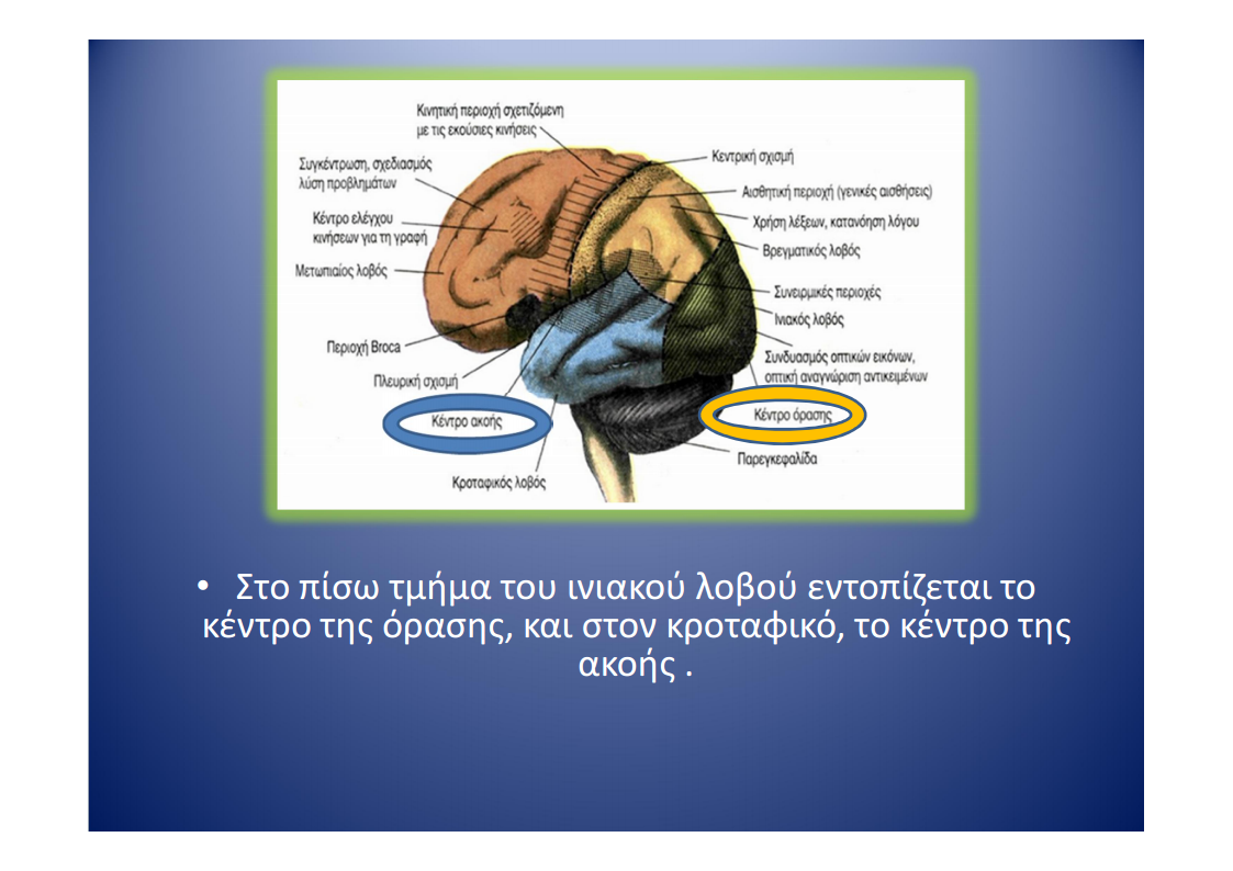ΒΙΟΛΟΓΙΑ ΛΥΚΕΙΟΥ: 2014