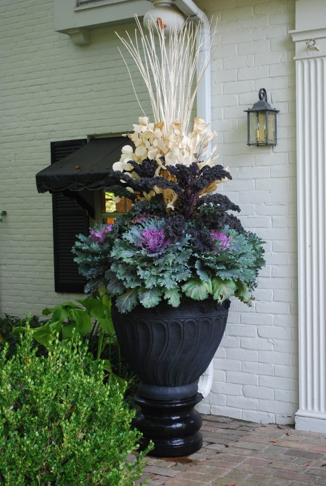 Dorothy Sue and Millie B's too: Fall Container Gardening Inspiration