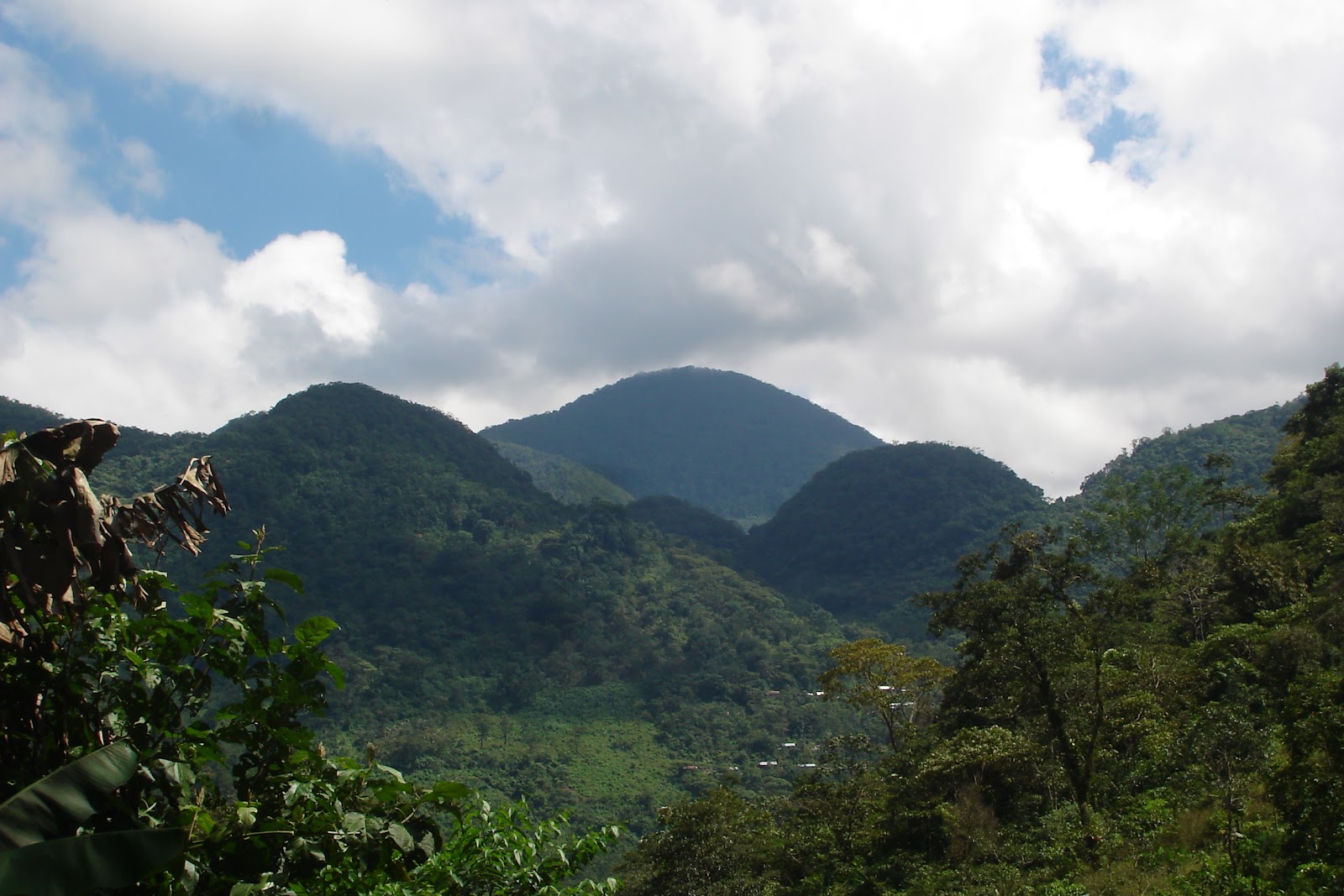 DAEA Centro de Investigación e Intervención Psicosocial, A,C,: EL ...