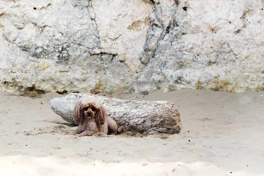 PUGLIA TRAVEL DIARY - KARAMODE