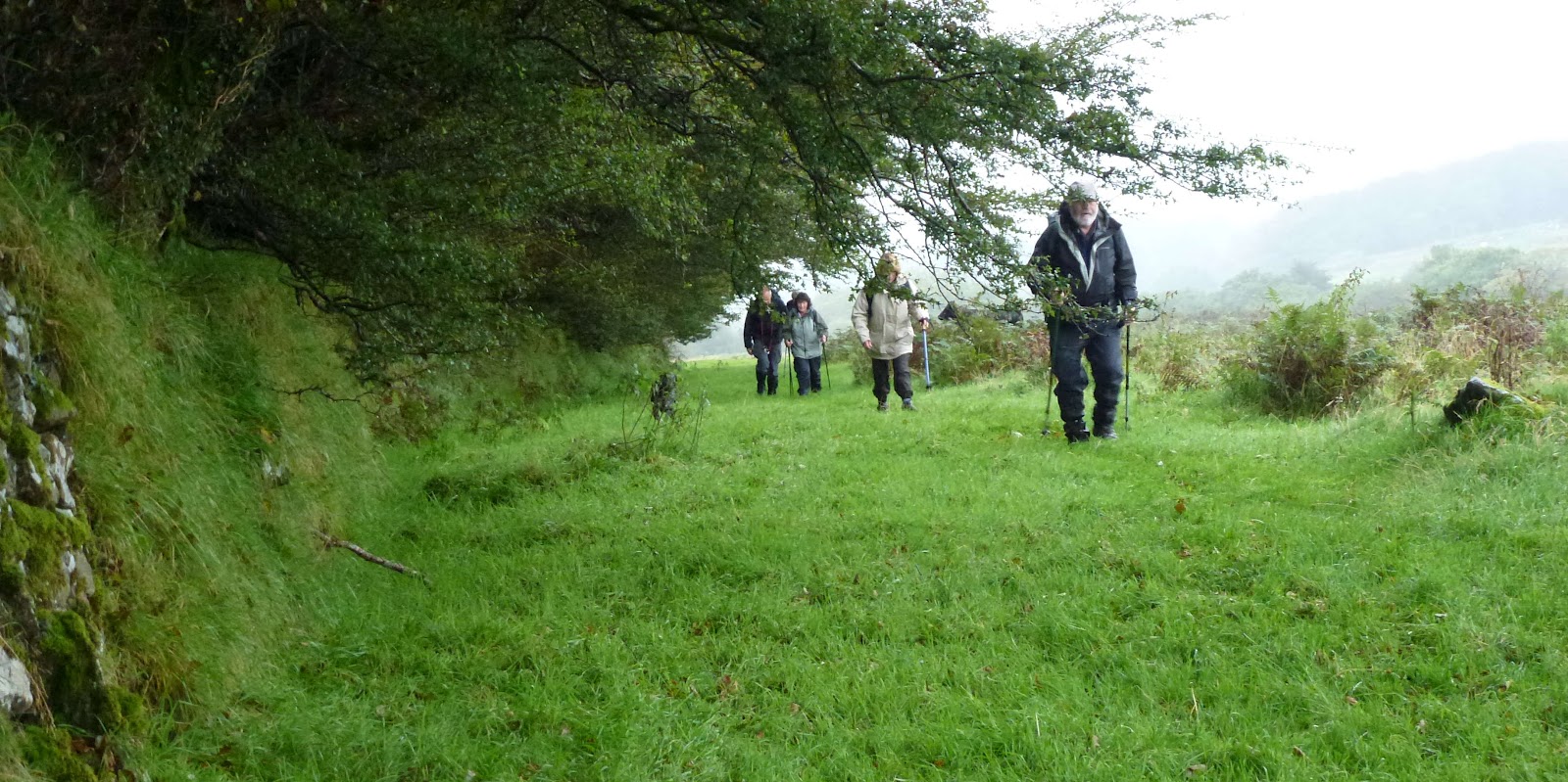My Dartmoor Walks: Monday 10th September Peter Tavy