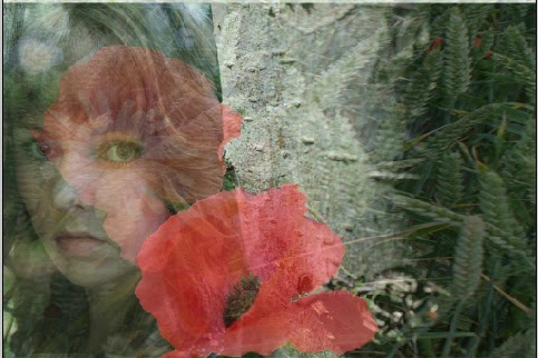 Multiple Images : More Photoshop Layering