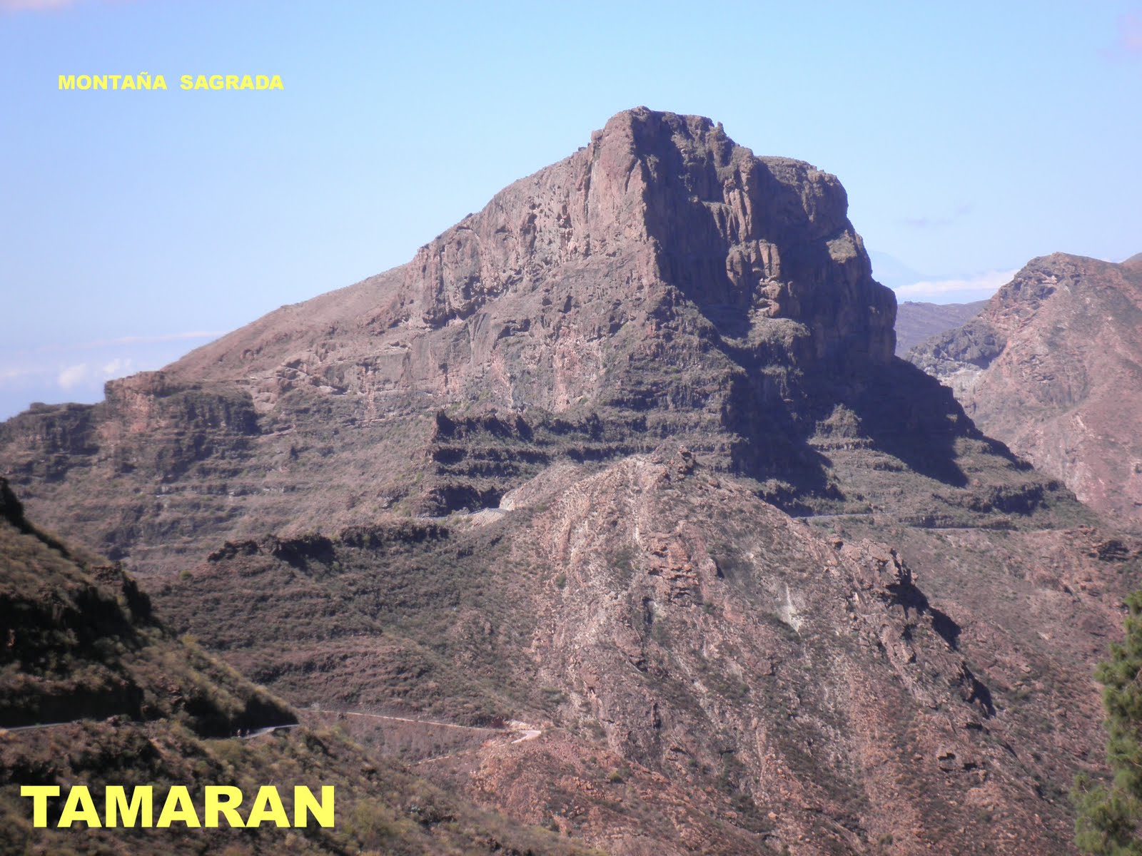 TAMARAN: CANARIA DE TAMARAN DE MONTAÑAS SAGRADAS