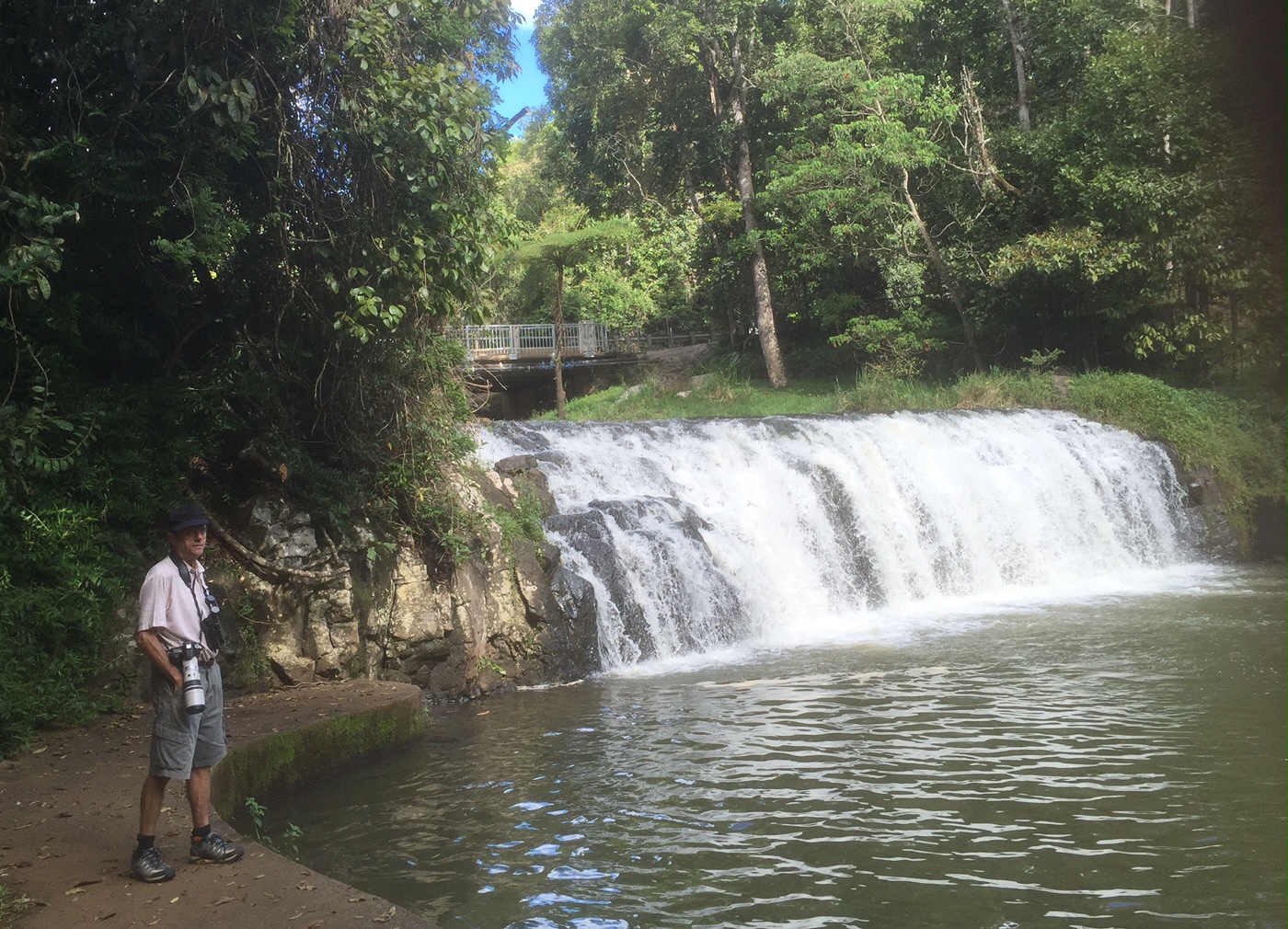 sunshinecoastbirds: Queensland Road Trip 6: Malanda & Platypus ...