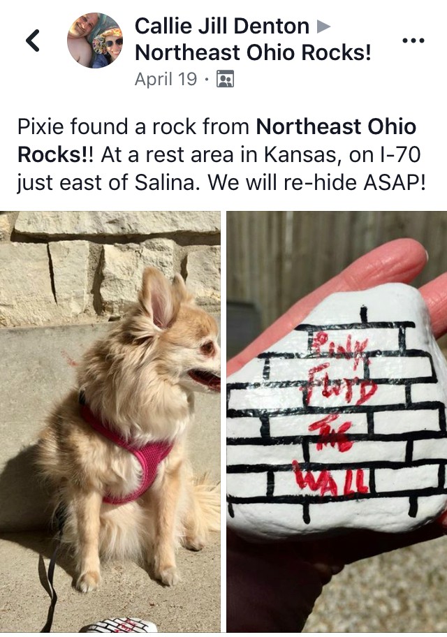 Northeast Ohio Rocks!: Northeast Ohio Rocks! in all 50 States Volume 5