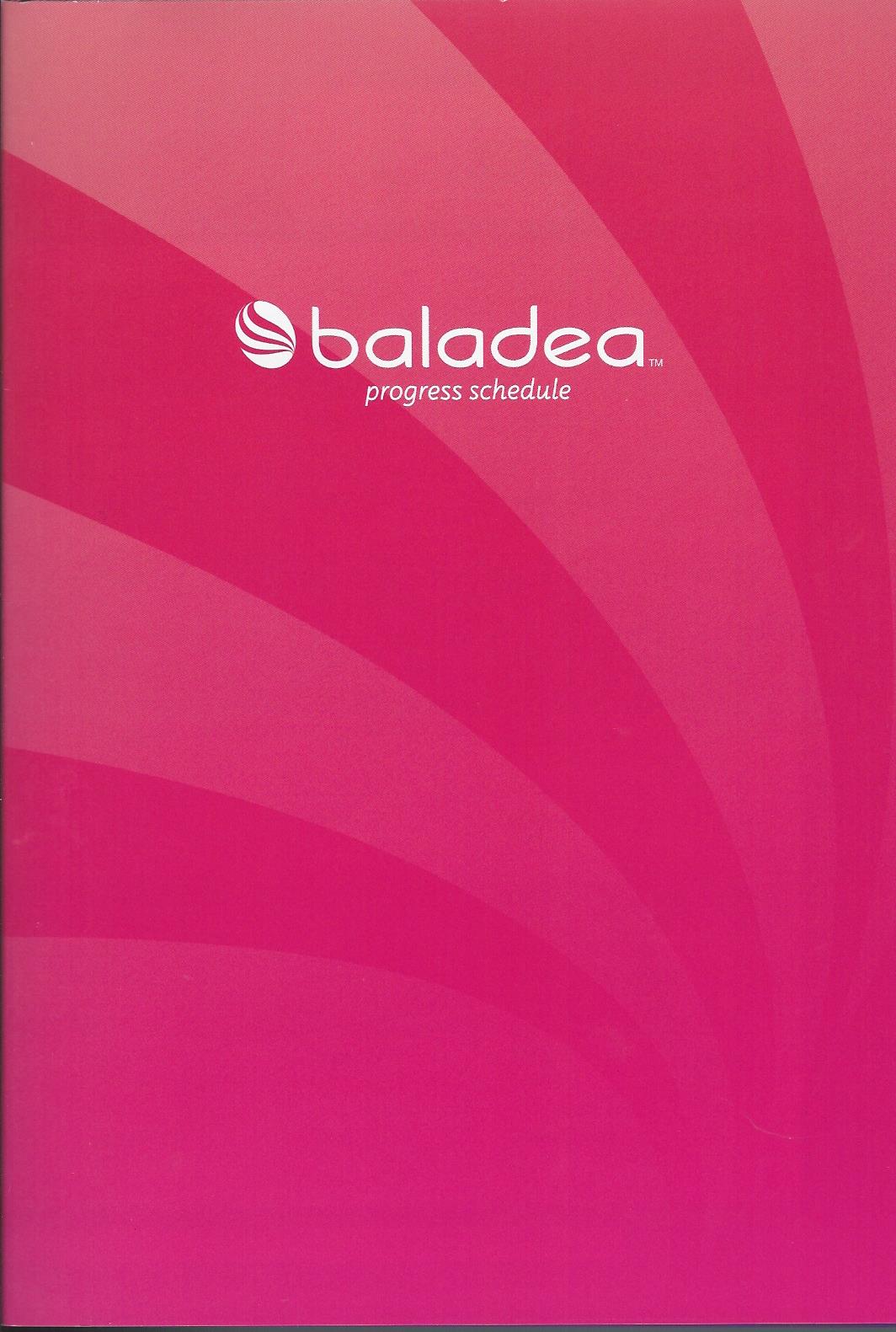 Holly Perkins Baladea Introduction