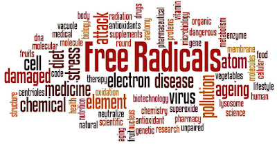 MedFriendly Medical Blog: Free Radicals and How They Affect the Body ...