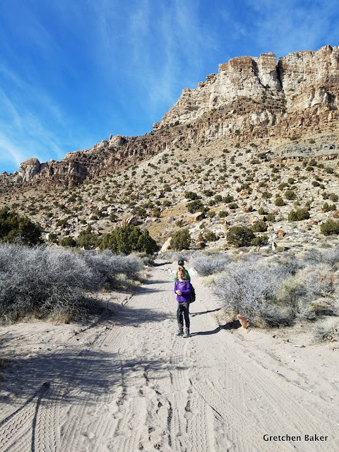 Desert Survivor: Fossil Mountain and Ibex Playa, Utah