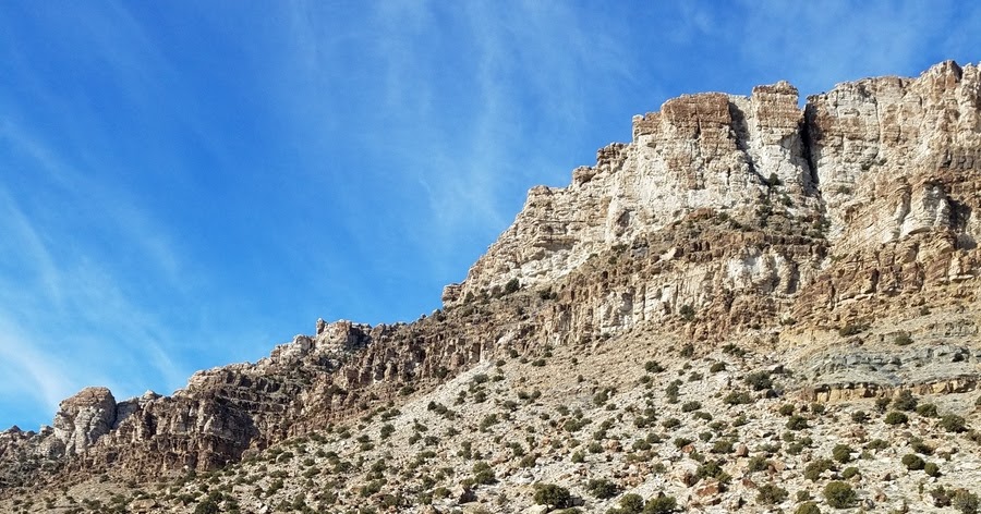 Desert Survivor: Fossil Mountain and Ibex Playa, Utah