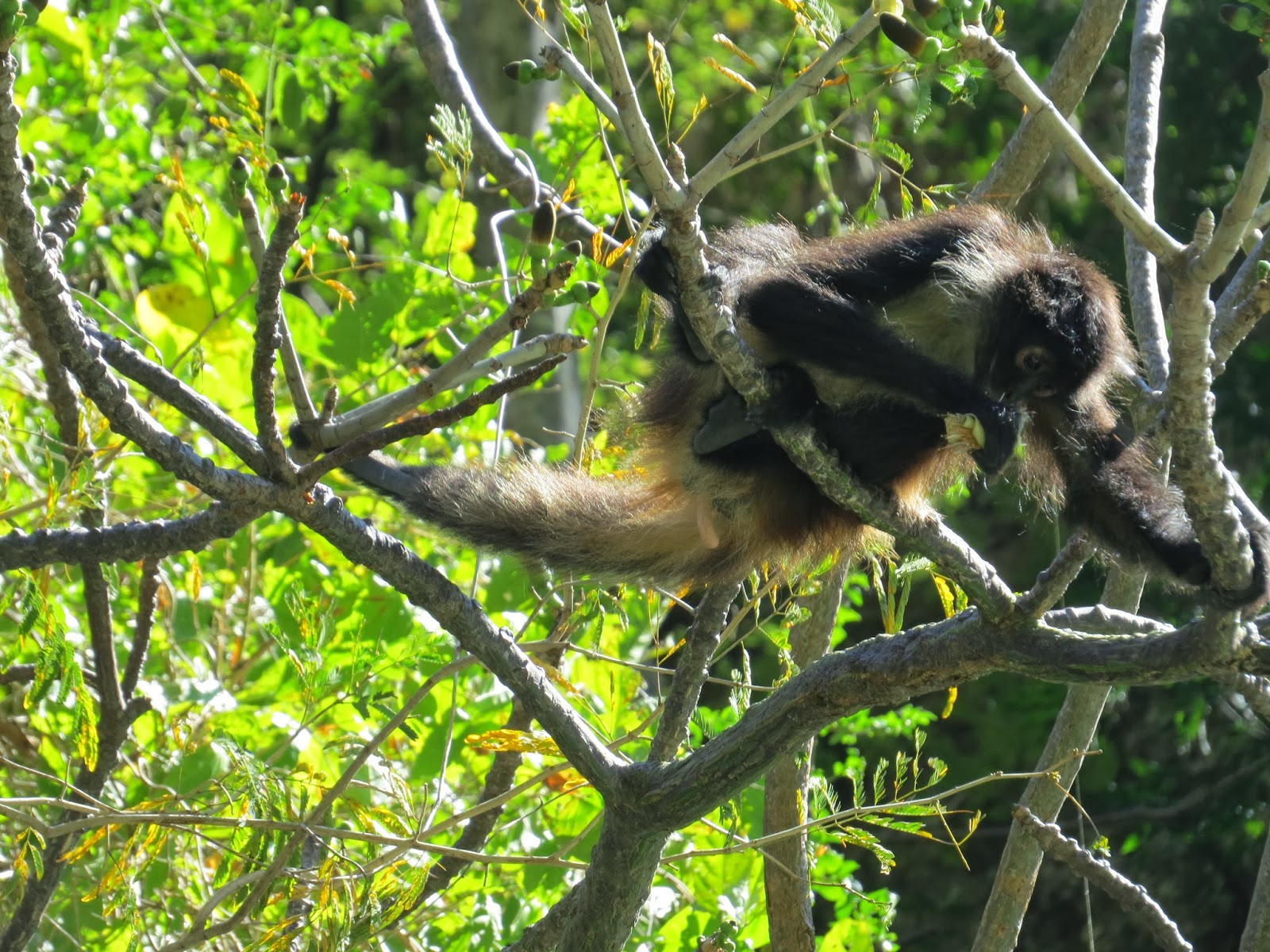 UN VIAJE, DOS PALENTINOS, TRES AMÉRICAS EN BICICLETA: ADIÓS MÉXICO ...
