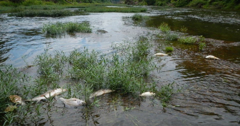 MEC&F Expert Engineers : A 900 gallon sulfuric acid spill from the ...