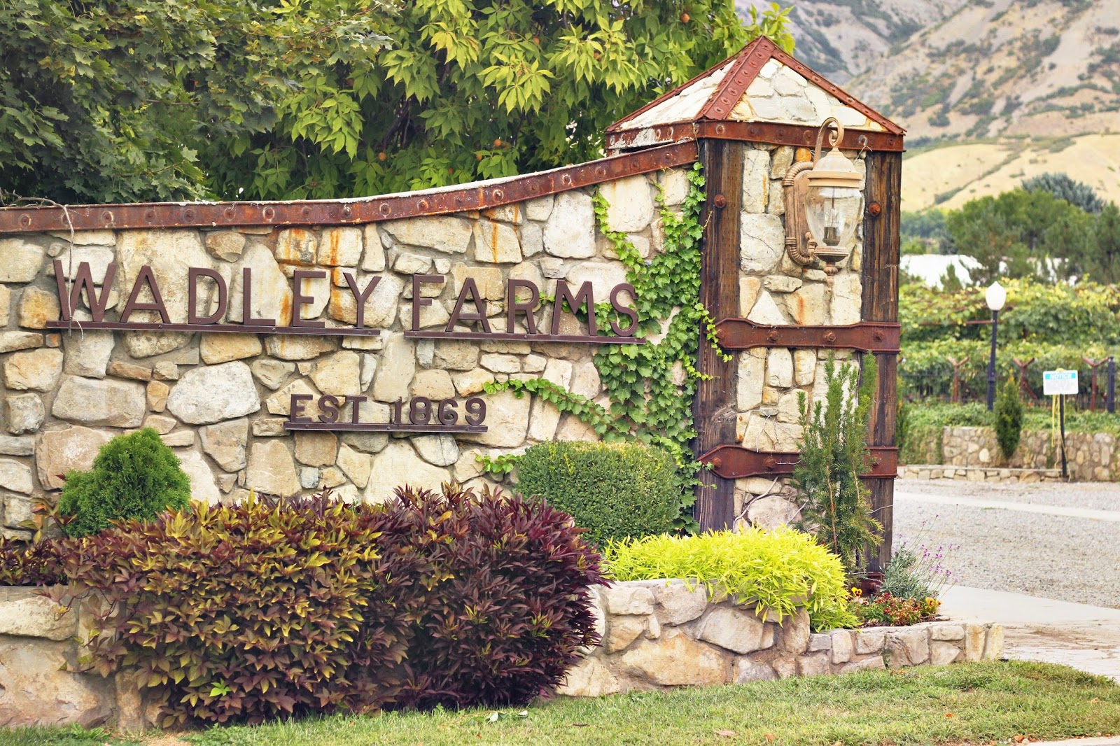 Wadley Farms: Harvest Party