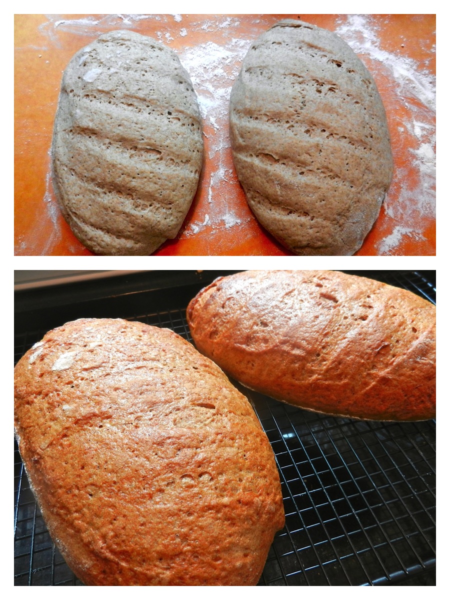 I'll Bake It, You Eat It: Baking Bouchon - Recipe 51: Rye Bread