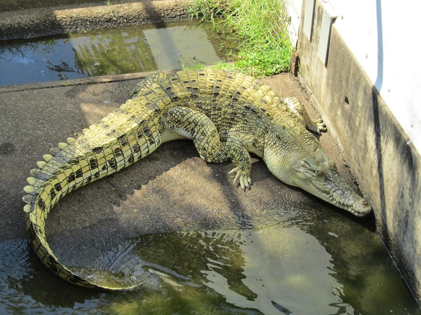 Australia 2014: August 2014