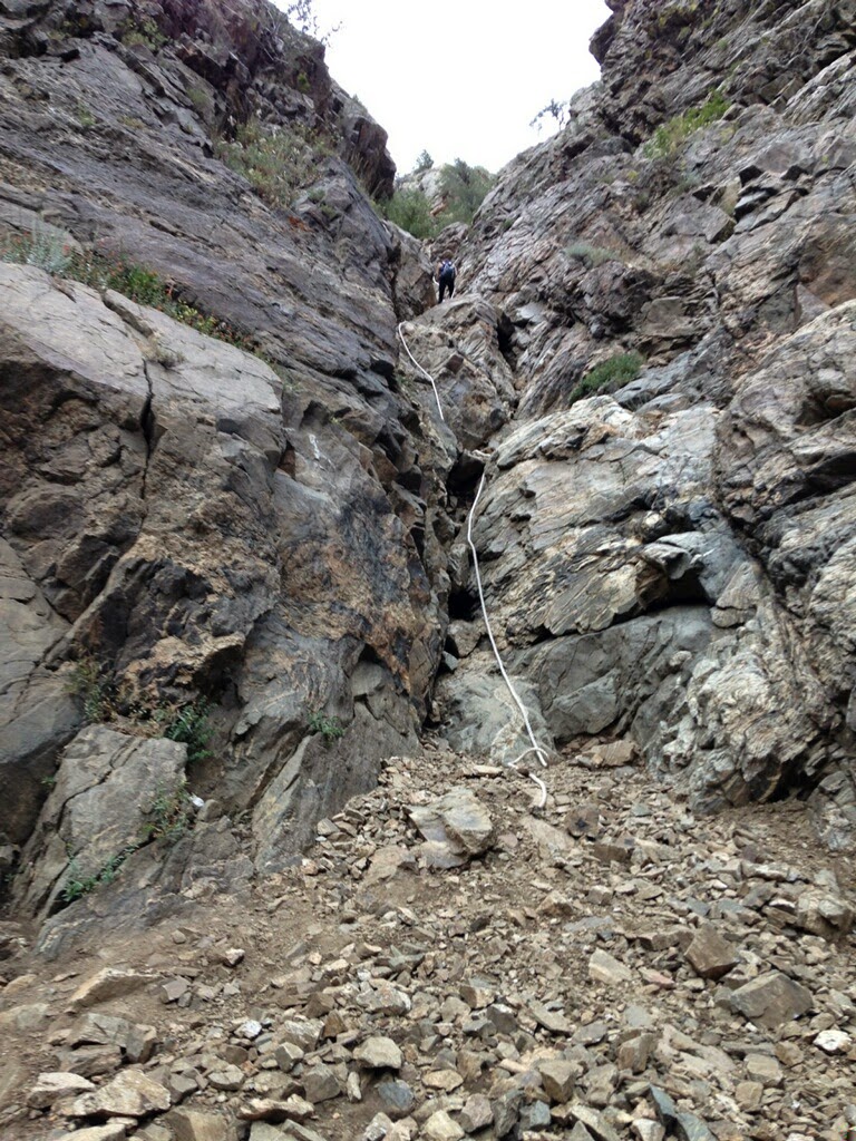 DRAWING THE MAPS TO MY SOUL: Nature-ristic!