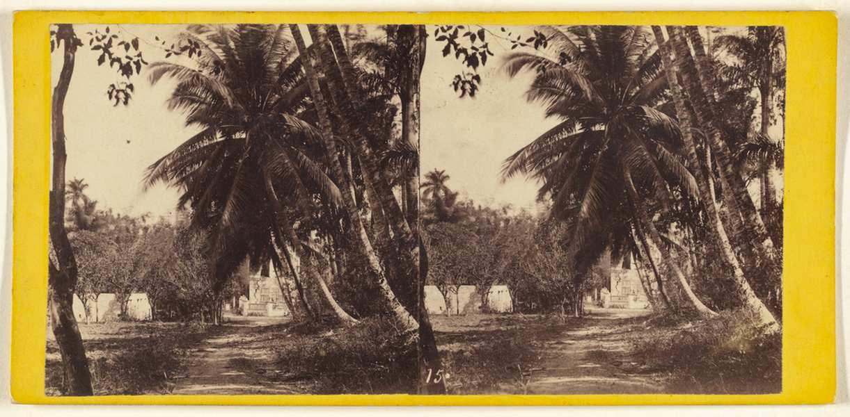 Los Grandes Fotografos: George N. Barnard (1819-1902)