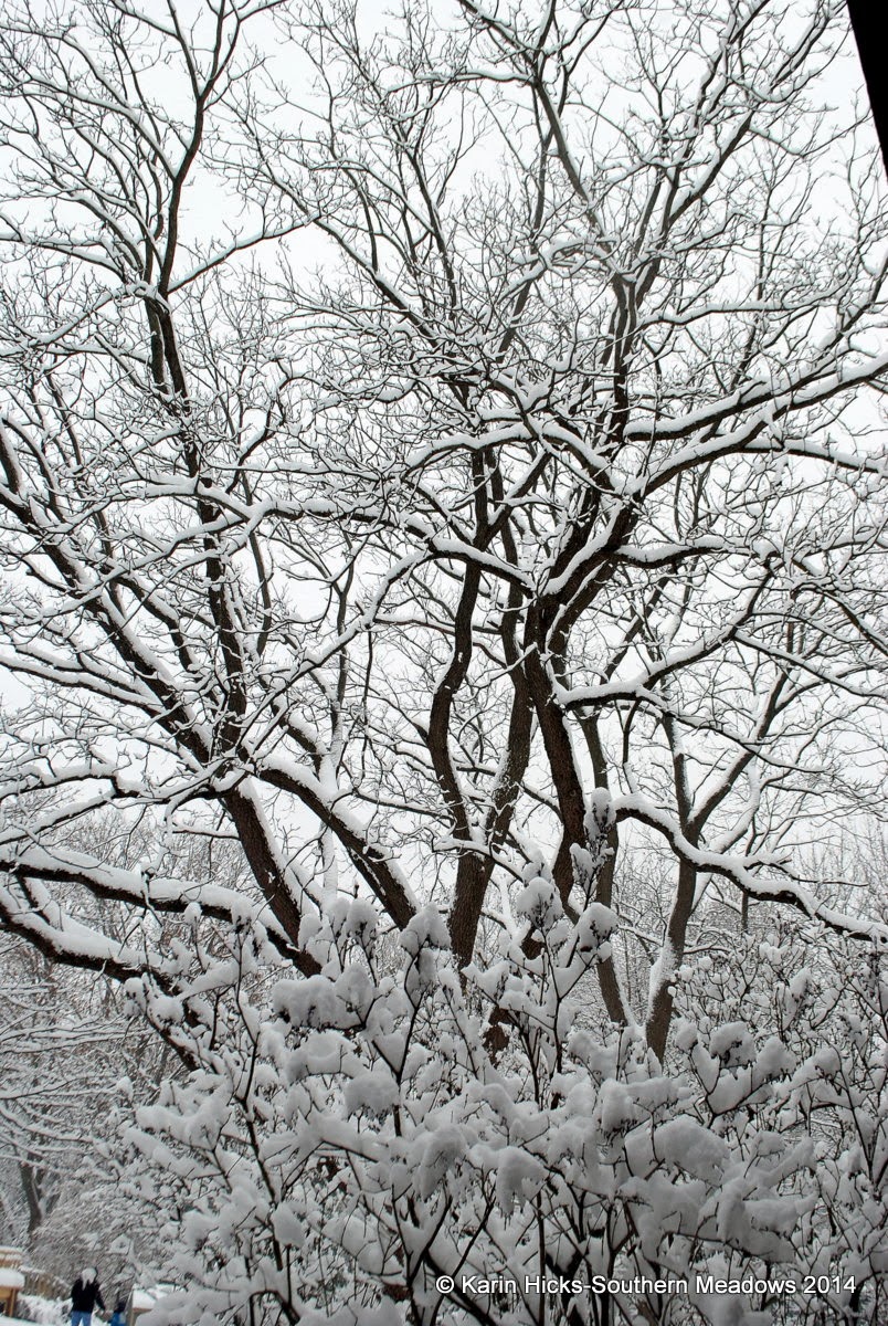 Winter Wonderland Along the Shore of Lake Michigan