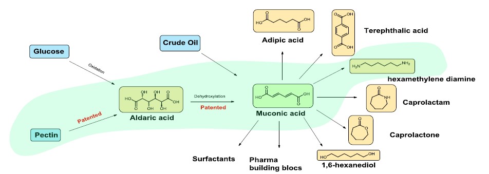 VTT releases its last results in bioplastic development - FDCA and ...