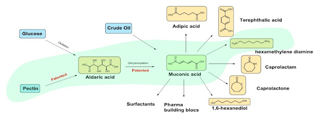 VTT releases its last results in bioplastic development - FDCA and ...