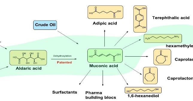 VTT releases its last results in bioplastic development - FDCA and ...