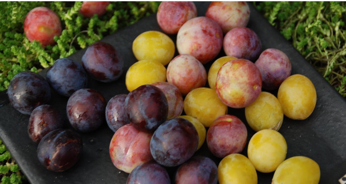 Bagarbertans baksida: Lite höstkänsla och sötbak med plommon