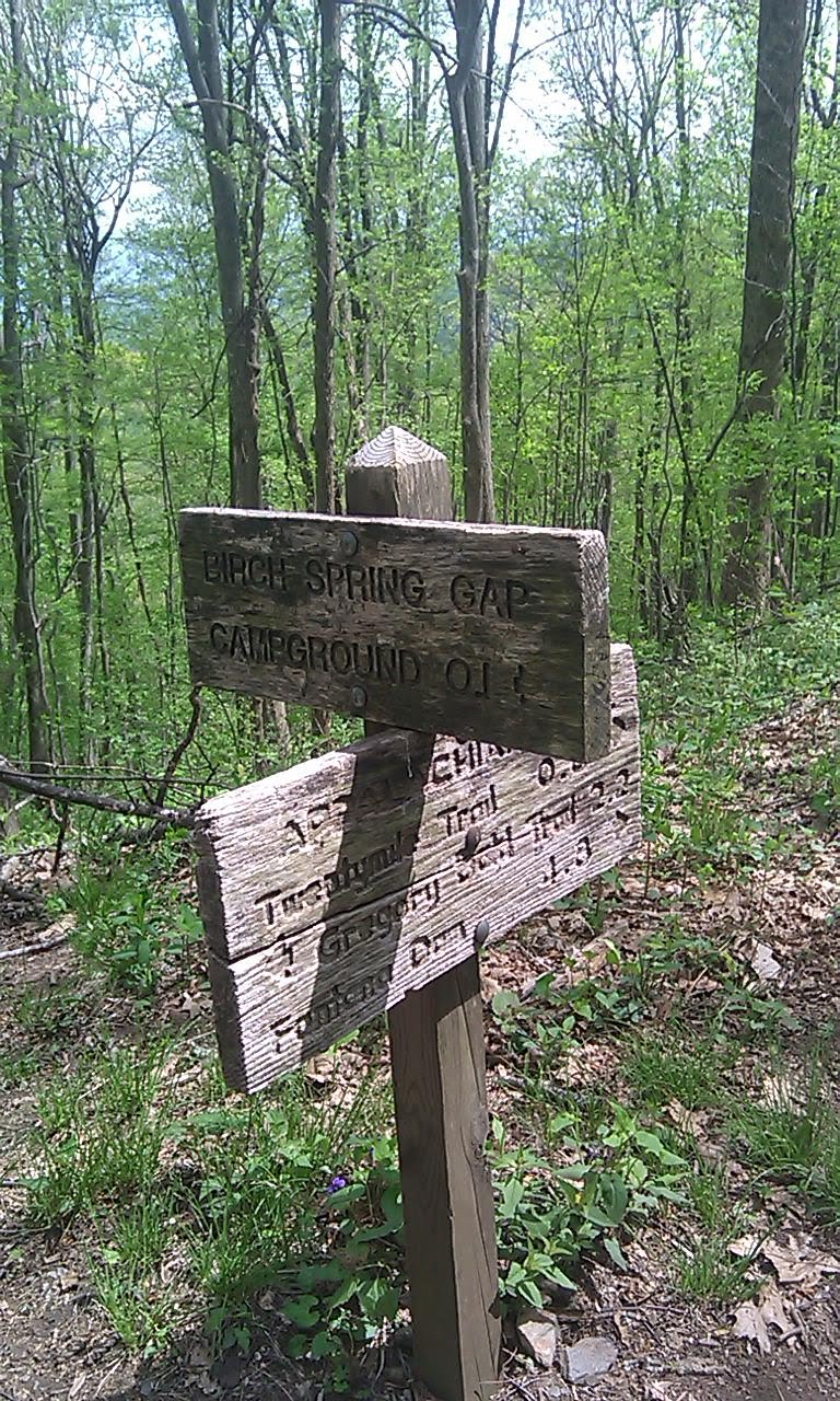 Backpacking Trips: Day 1 - camping at campsite 113 - Birch Spring Gap