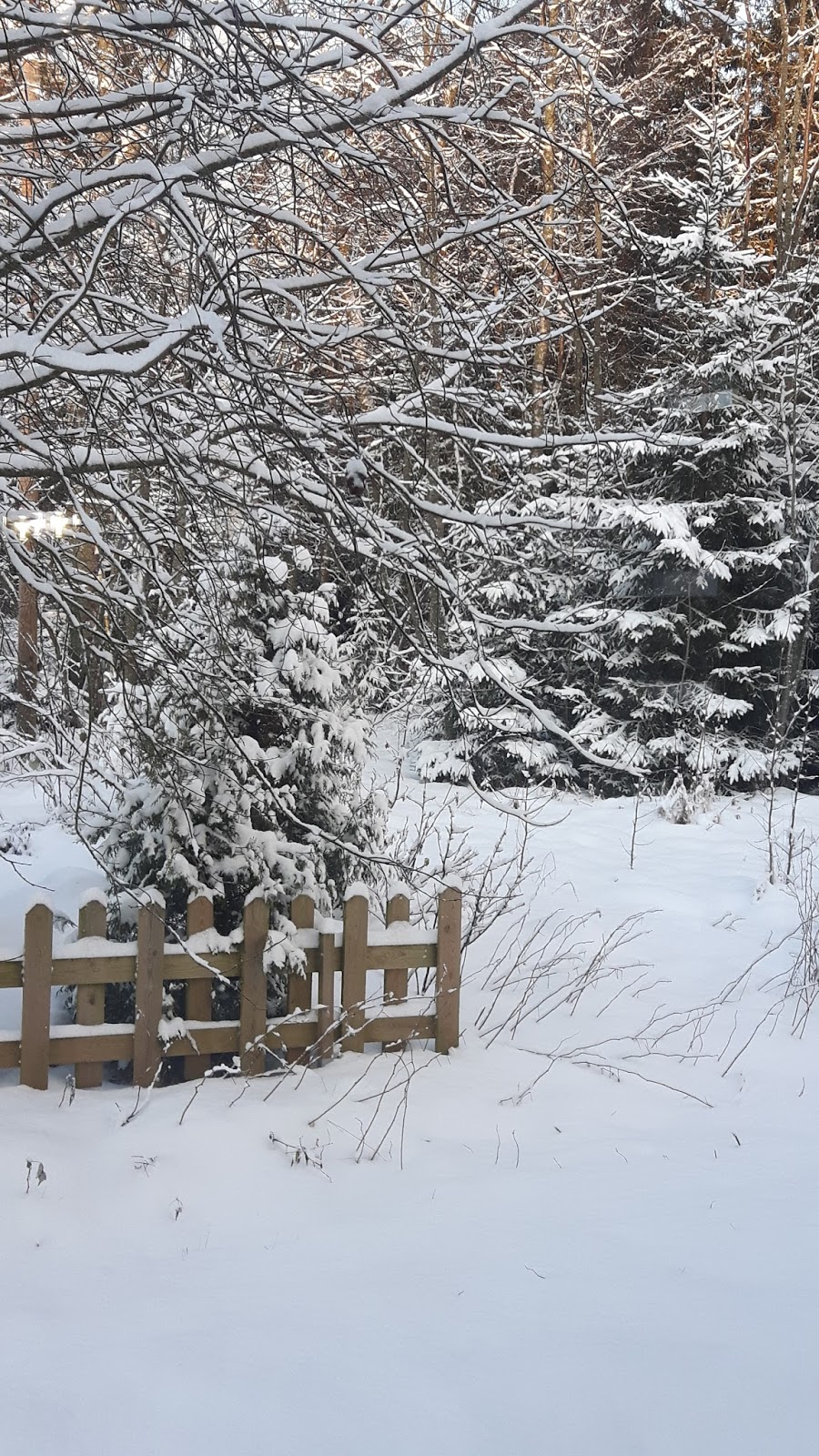 cias1975: 3 dec. 2016