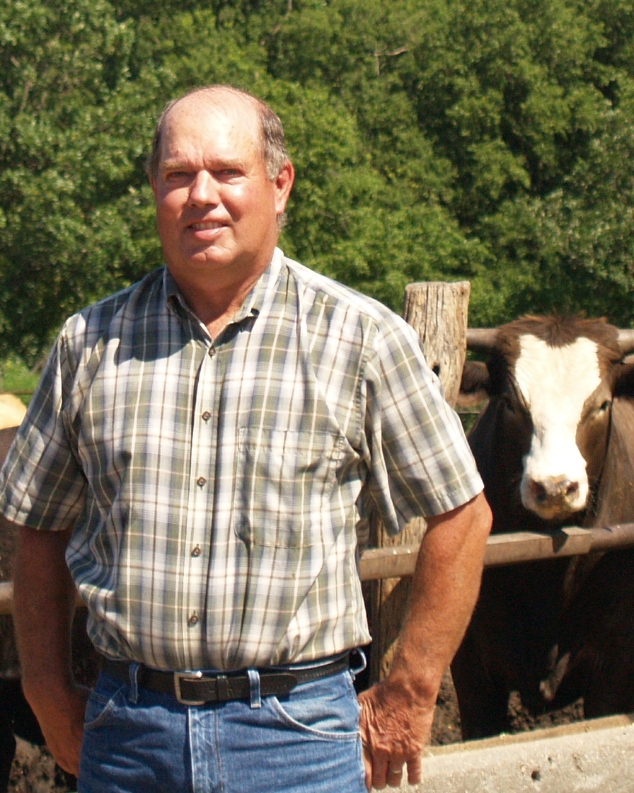 MKC, Agriculture, Crop Protection, Crop Nutrients, Energy: June 2013